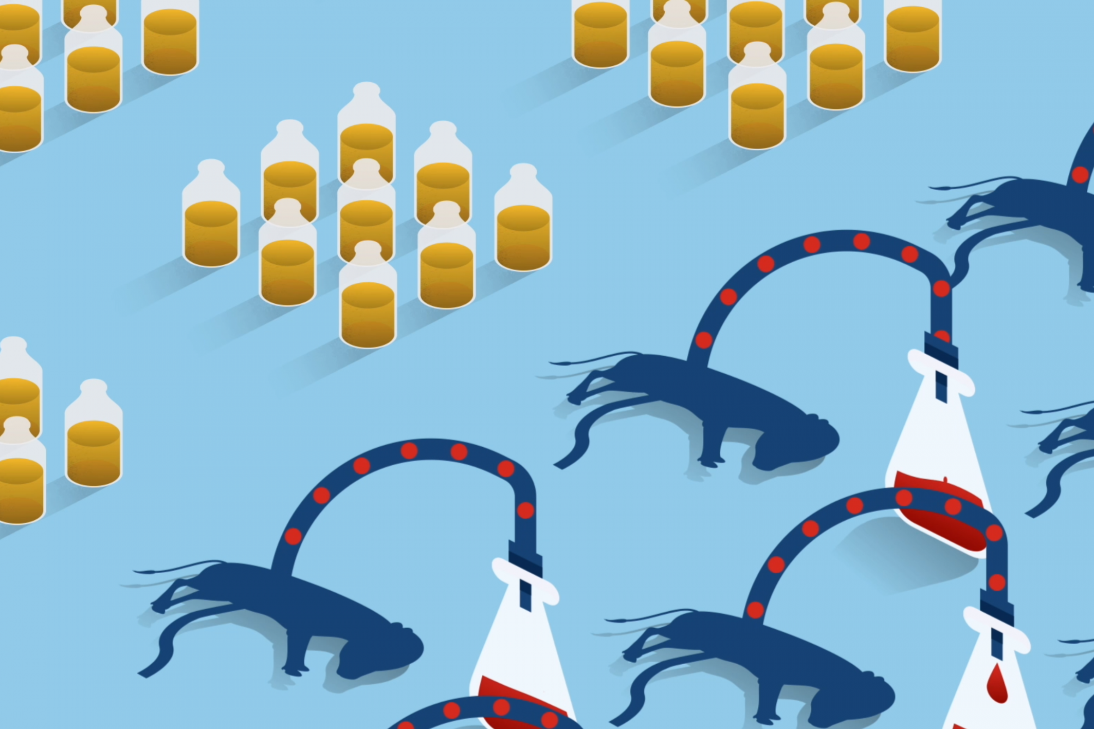 Points of attention when using fetal calf serum | Animal Welfare Body ...